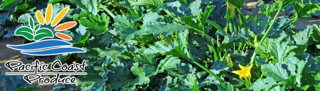 About Us | Pacific Coast Produce